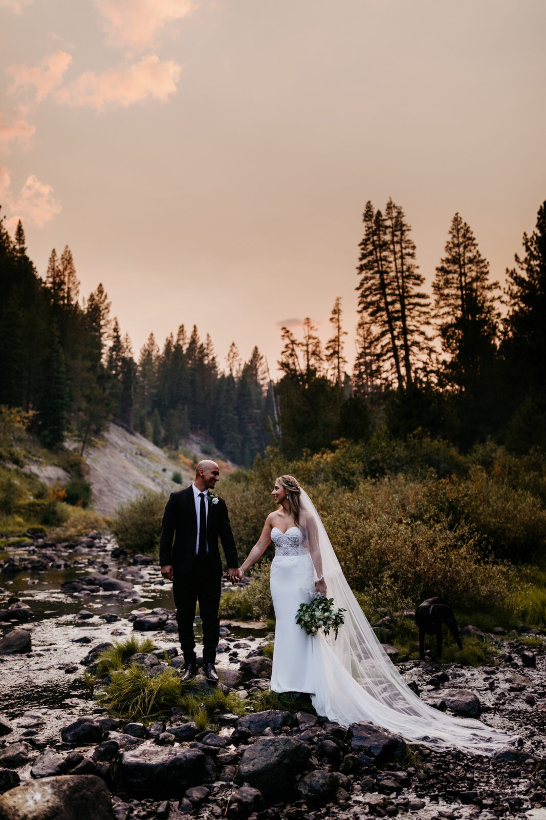 Photo Gallery | Dancing Pines