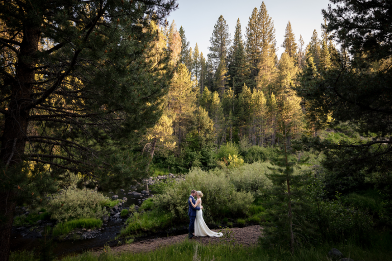 Photo Gallery | Dancing Pines
