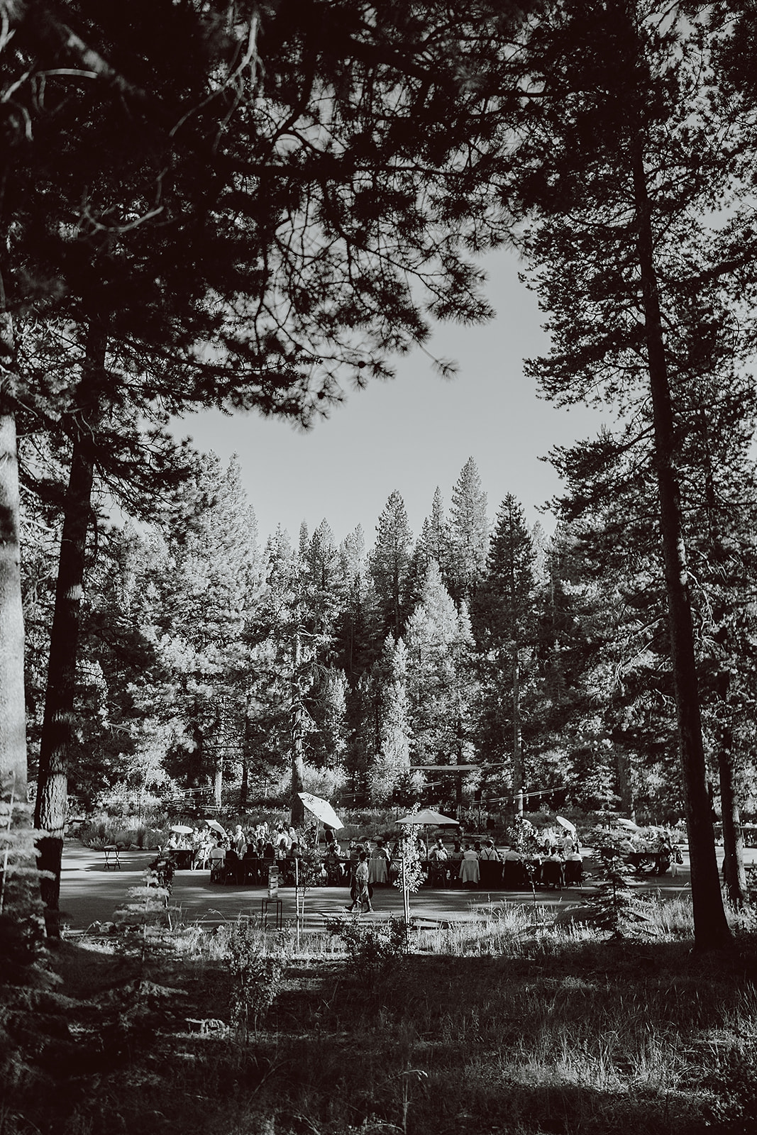 Photo Gallery | Dancing Pines